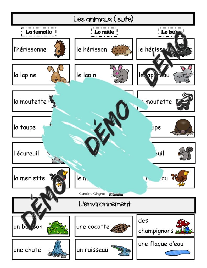 Lexique de la forêt - Caroline Gingras Créations