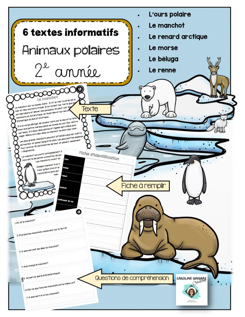 Atelier Hiver - Compréhension de textes informatifs - Animaux polaires ...