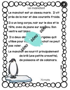 Atelier d'hiver - Compréhension de textes - Animaux polaires - 1re ...