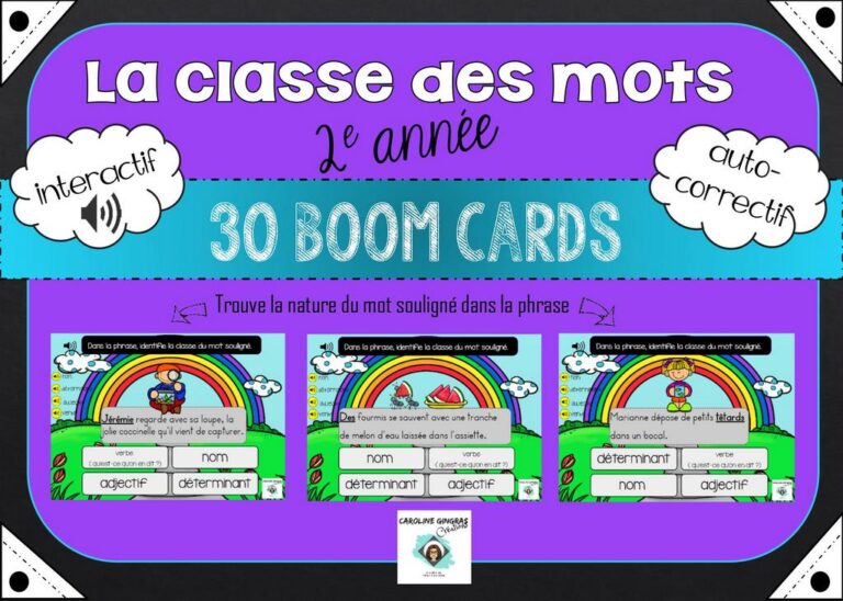 La classe de mots - insectes - 2e année - Caroline Gingras Créations